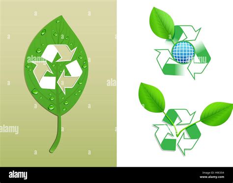 Recycle Symbol On A Fresh Green Leaf Recycle Icon With World And