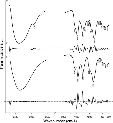 Fourier Transform Infrared Spectrum And Second Derivative Of I Ii Download Scientific