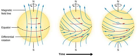 The Solar Cycle · Astronomy