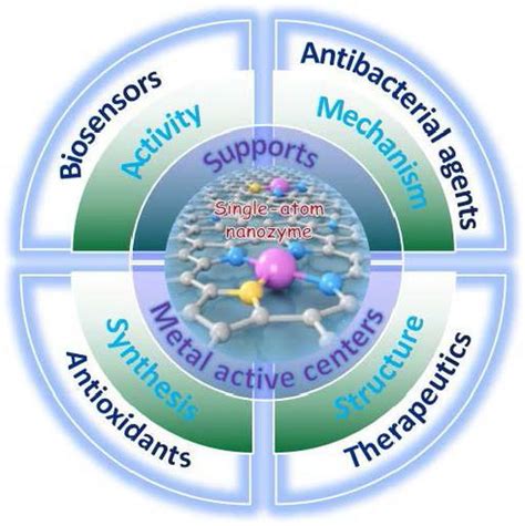用于催化生物医学用途的新兴单原子纳米酶 Nano Research X Mol