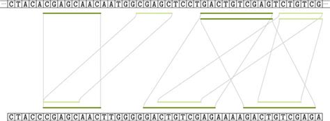example illustrating the difference between maximal and super maximal