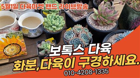 다육마켓밴드라이브 보톡스다육 이쁜 화분과 다육이 구경하세요 5월1일 판매방송 Youtube
