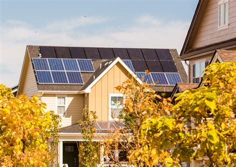 Why Solar Panels Are Growing In Popularity For Homeowners Twl
