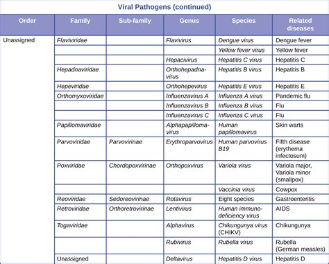 Human Classification Taxonomy Chart Ponasa