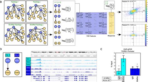 Computational And Experimental Verification Of Personalized Download Scientific Diagram