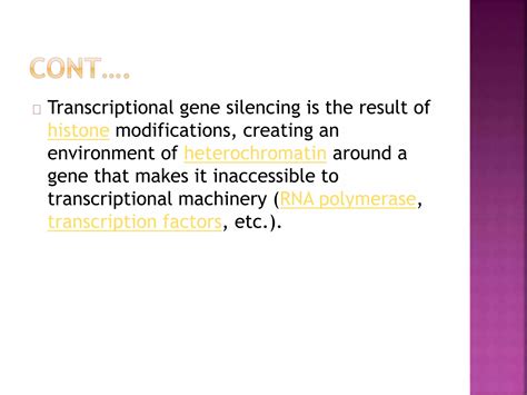 Antisense Rna Ppt