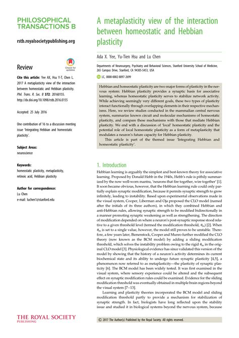 a metaplasticity view of the interaction between homeostatic and