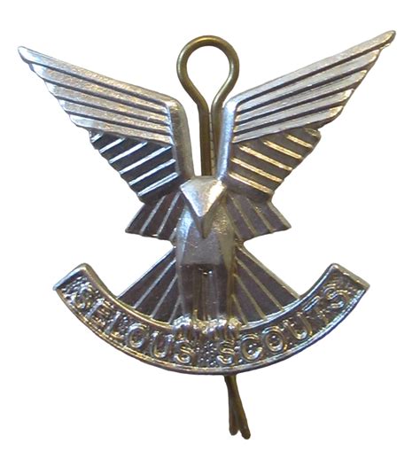Selous Scouts Logo