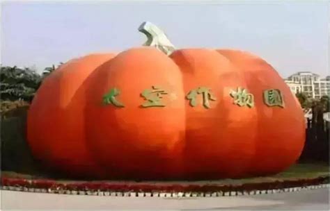 9种成功的乡村旅游业态，每一种都有学习的点！ 搜狐大视野 搜狐新闻