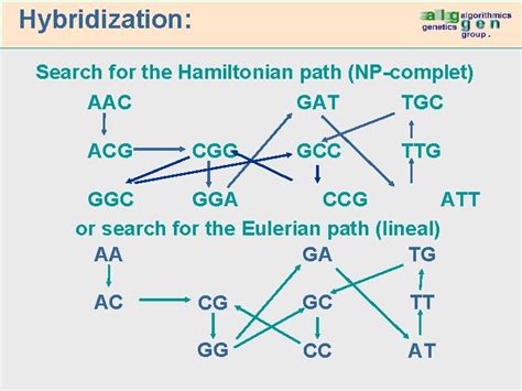 Dna Sequencing There Are Two Techniques Hibridization Provide