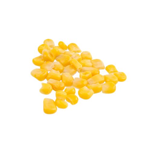 Corn Kernel Plant Fresh Meal Corn Grain Fresh Photograph Png