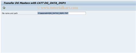DGE4 SAP Tcode First Database Via DGP1