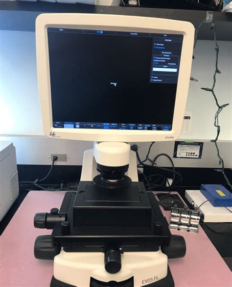 Evos Microscope In Dr Jason Stewarts Research Laboratory Used To Take Download Scientific