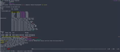 Exposing Ingress To A Remote Host · Issue 9116 · Kubernetesminikube · Github