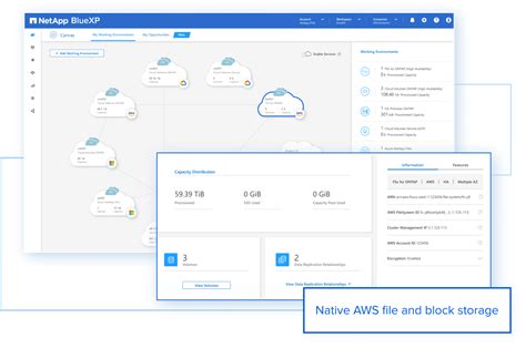Netapp Bluexp Data Estate Operations Made Simple