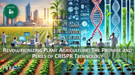 Revolutionizing Plant Agriculture The Promise And Perils Of Crispr Technology