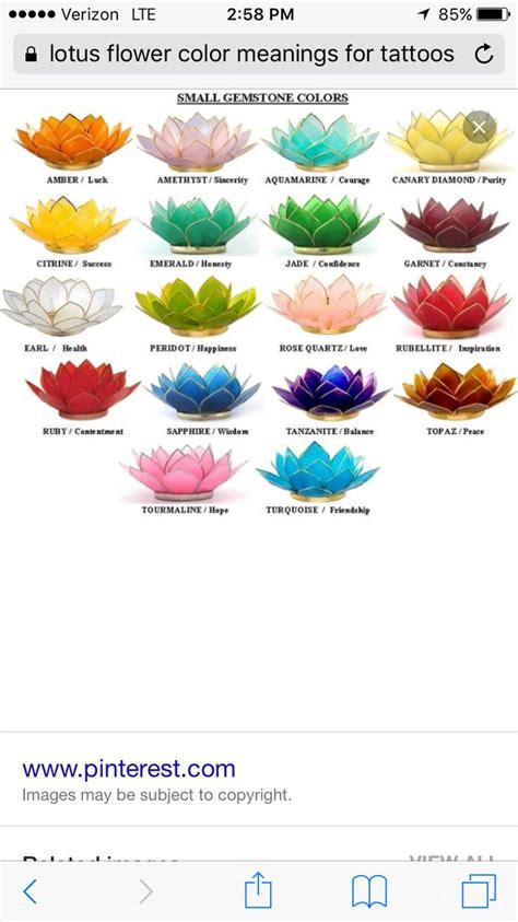 Lotus Flower Colors