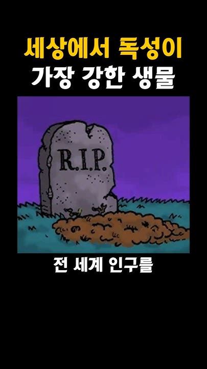 세상에서 독이 가장 강한 생물 Youtube