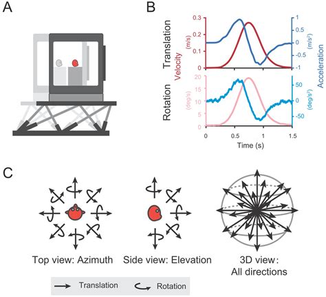 Robust Vestibular Self Motion Signals In Macaque Posterior Cingulate Region Elife