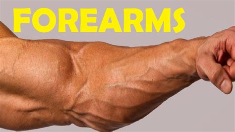 How To Get Big Forearms Fast In Only 3 Minutes Youtube