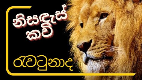 සිංහයයි නරියයි හරකයි කවුද රැවටුනේ නිසඳැස් කවි Sinhala Nisadas Youtube