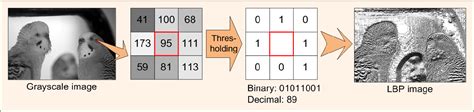 figure 1 from scene image classification using a wigner based local binary patterns descriptor