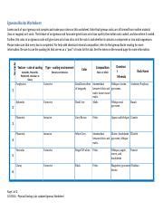 Lab WORKSHEET Igneous Rocks Converted Docx Igneous Rocks Worksheet Sample Assess Each