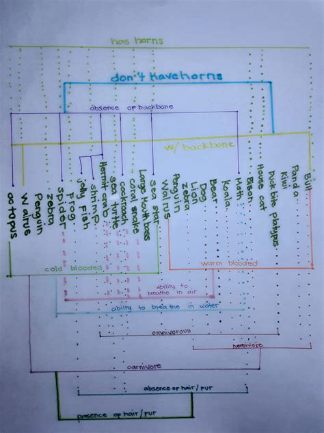 Solved Make Your Own Phylogenetic Tree Showing Their Evolutionary Course Hero