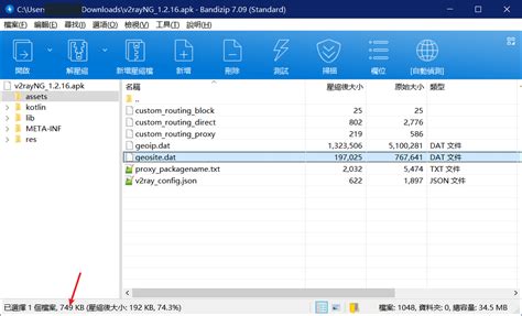 关于 Issue 里开发者回复的疑问内置 dat 文件并非增强版 Issue dust v rayNG GitHub