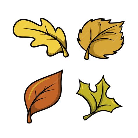 Premium Vector A Set Of Autumn Icons Autumn Leaves From Different