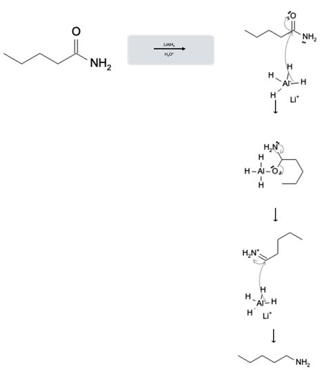 Amide Reactions Reduction Of Amides To Amines Using Lialh4