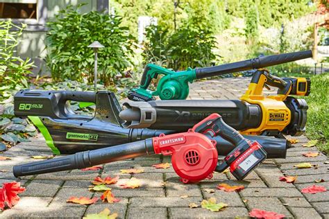 The Best Cordless Leaf Blowers Of