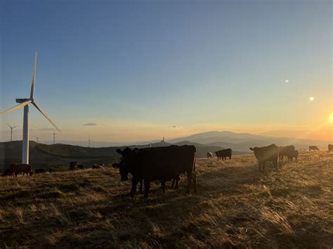 Трактори ТЕО On Linkedin Прочетете последната ни статия КЗК санкционира „Диджитал Лидърс“ ЕООД за…