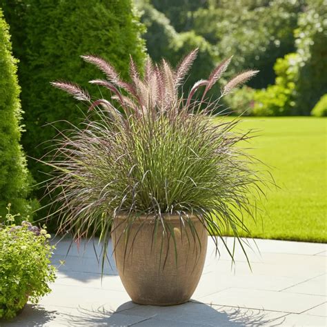23 Simple And Stunning Container Flower Garden Ideas For Any Home