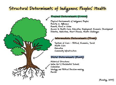 Connection 5 A Primer On The Determinants Of Indigenous Peoples Health Wiidooktaadyang We