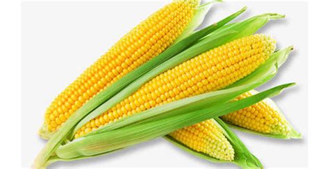 Resistant Dextrinsoluble Corn Fibercorn Dextrin Natural Sweetener