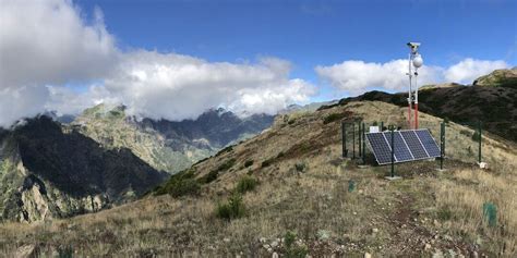 Insightfd Robotics Cats