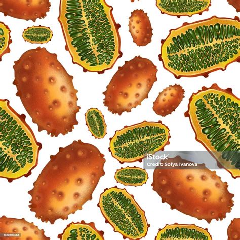 흰색 배경에 고립 된 뿔 멜론 매끄러운 패턴의 손 그리기 질감 그림 인쇄 직물 패턴 카드 포스터 메뉴 에코 푸드 숍 식품 축제 배경에 사용 개체 그룹에 대한 스톡 벡터 아트