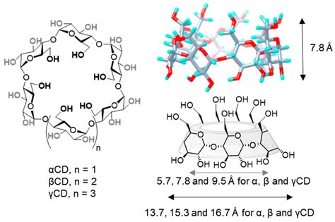3d Structure Of Beta Cyclodextrin