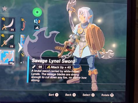 Botw Farm Strong Weapons At David Pisani Blog