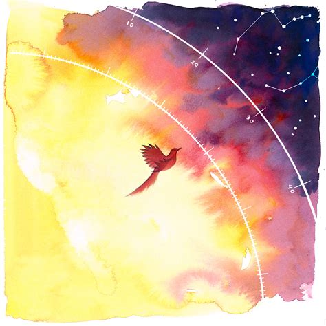 The Firebird Behance