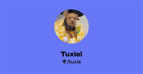 Tuxie Instagram Linktree