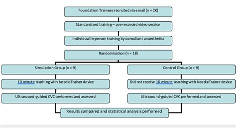 Study Flow For All Participants CVC Central Venous Catheter Download Scientific Diagram