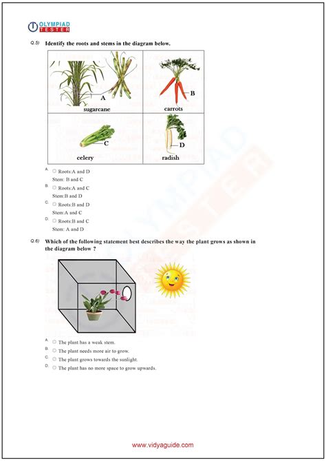 Science Olympiad Questions For Class 6 At Tina Lown Blog