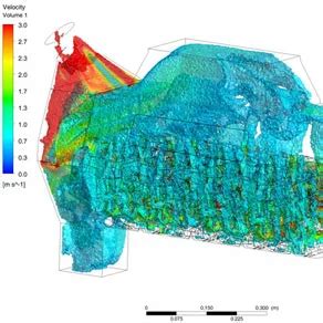 CFD Simulation Of Biofuel Plant Tech Invent