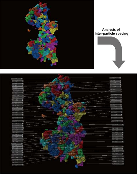 Figure S10 Analysis Of Inter Particle Spacing On The 3d Model Of Cuo X