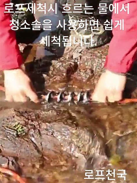 로프세척시 흐르는 물에서 로프청소솔을 사용하면 쉽게 세척됩니다 로프 로프천국 Climbing 자일로프 클라이밍 자일 밧줄 암벽등반 장비청소 로프세척