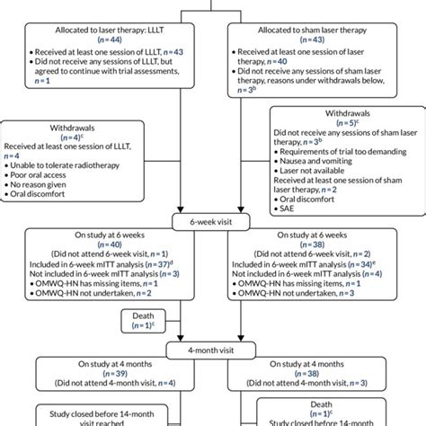 Trial Flow Chart Showing The Planned Progress Of Participants