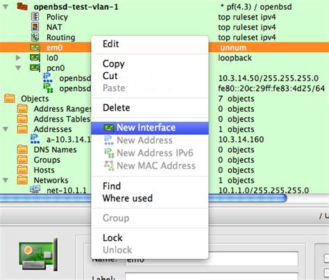 9 5 2 Vlan Interface Management On Bsd