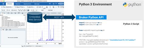 Topspin Python Interface Bruker